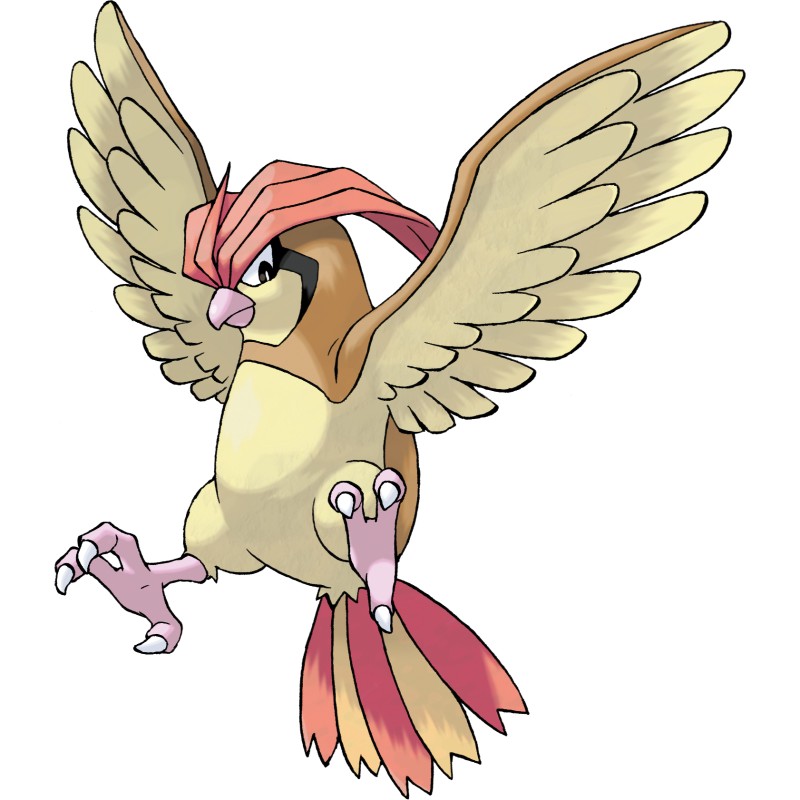 Pidgeotto Card Prices & Value 2026 | 32 Cards Ranked